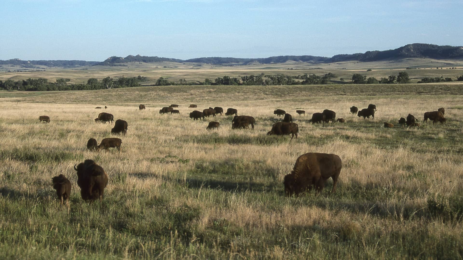 Nebraska Grants